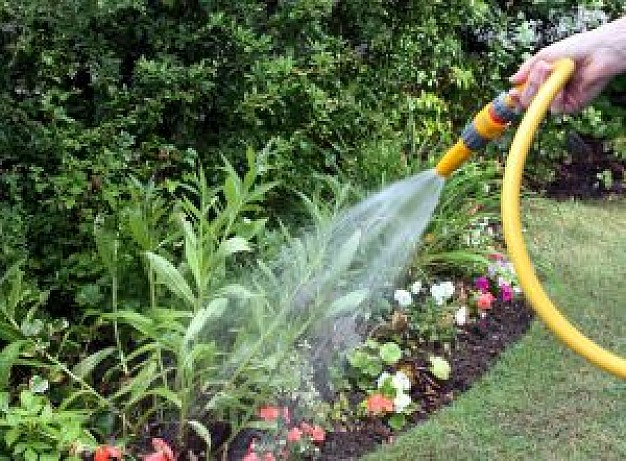 Poupe no jardim com dicas ecológicas - Mulher Portuguesa