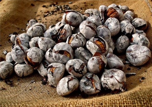 A tradição do Magusto no verão de São Martinho - Mulher Portuguesa